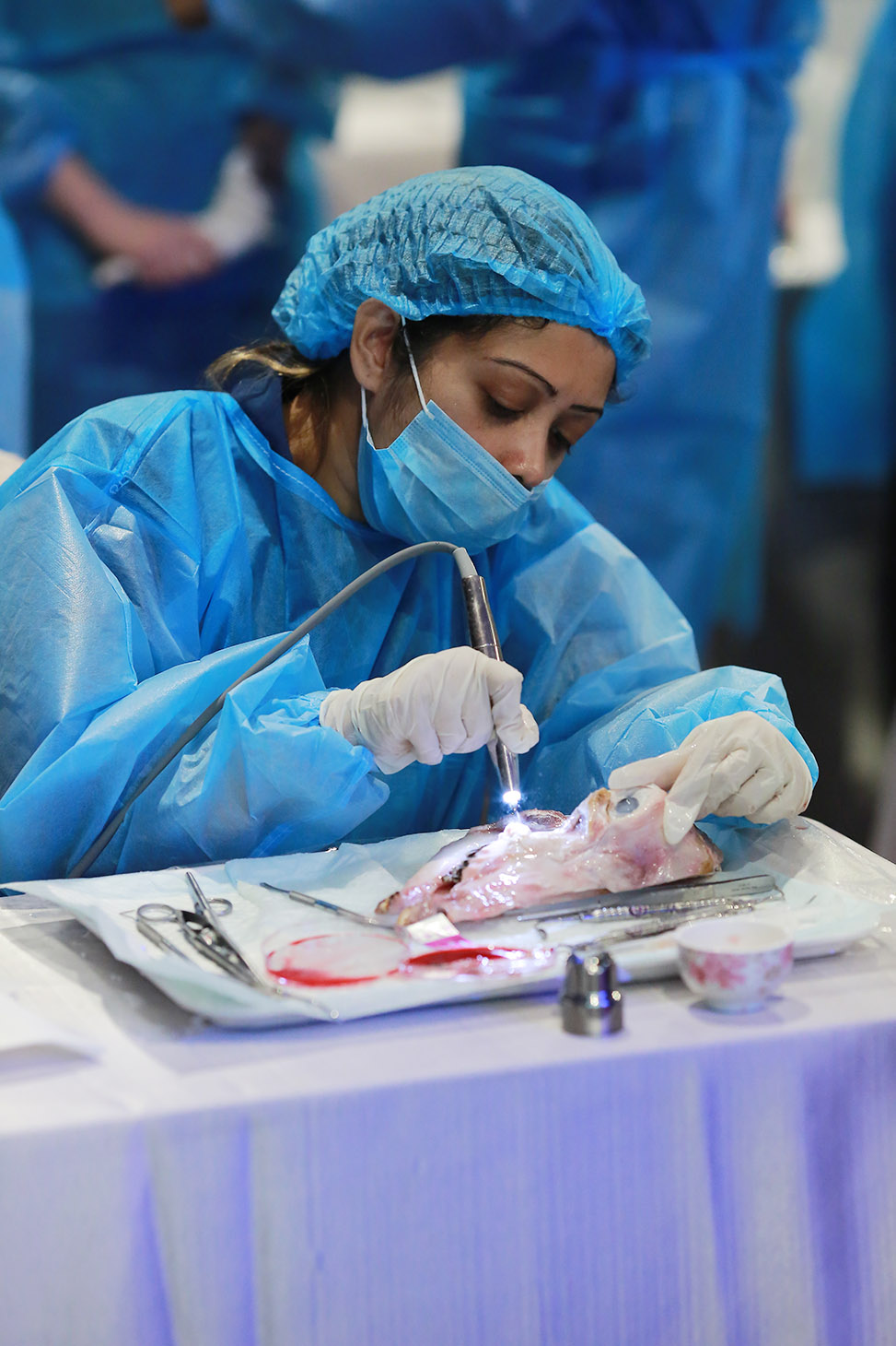 Sinus Lift-Lateral Window 2018-Biomate-IAI Implant Academy Institute