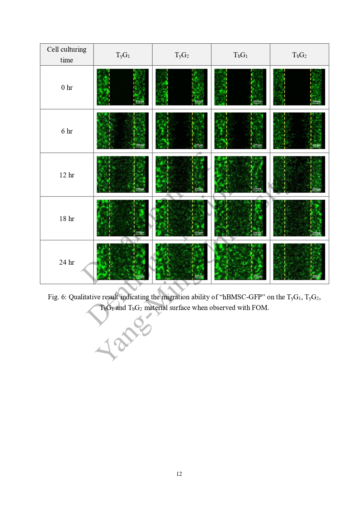 Study on the initial bone cell response to laser-treated titanium ...