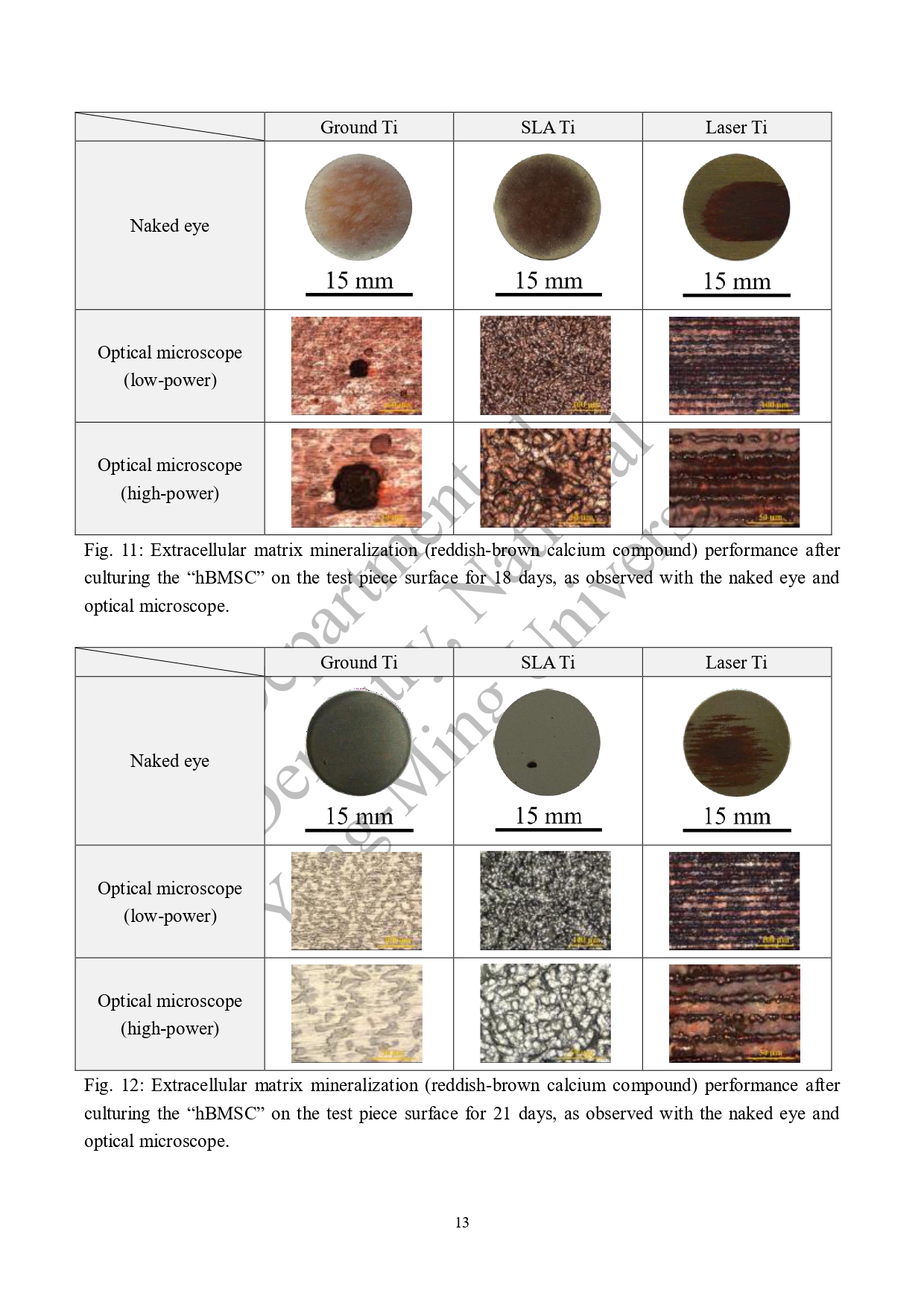 Study on the bone cell mineralization of laser-treated titanium surface ...